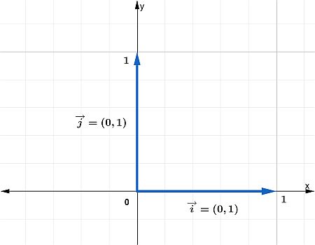 Vectores: tipos, características, explicación... - Mi apunte escolar